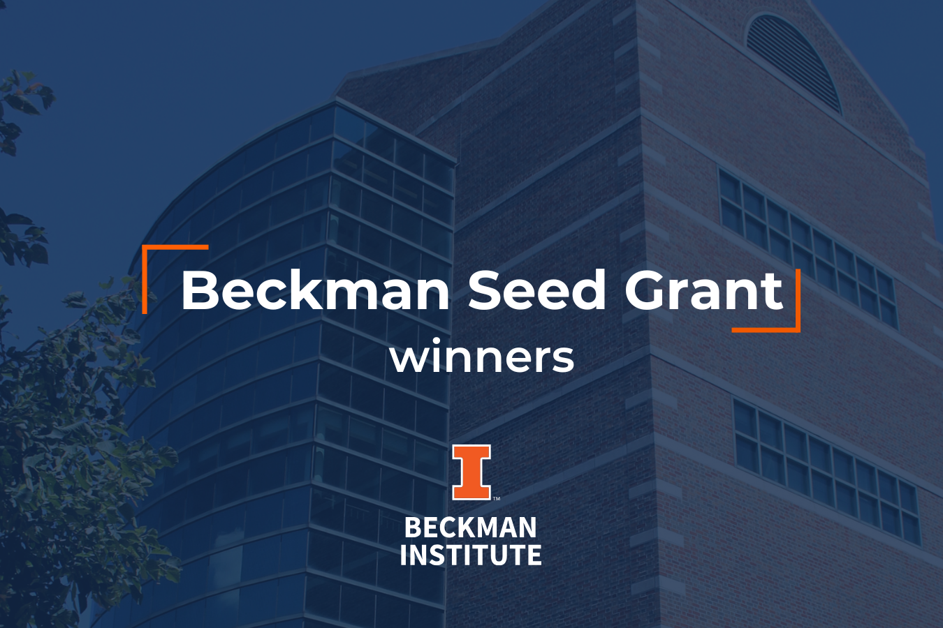 Beckman announces 2025 research seed grant recipients | Beckman Institute
