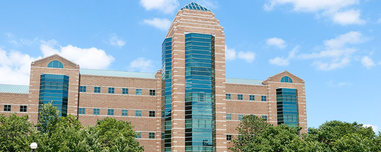 Seven named 2019 Beckman Institute Graduate Fellows | Beckman Institute