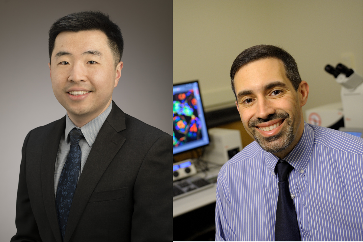 New framework for super-resolution ultrasound | Beckman Institute